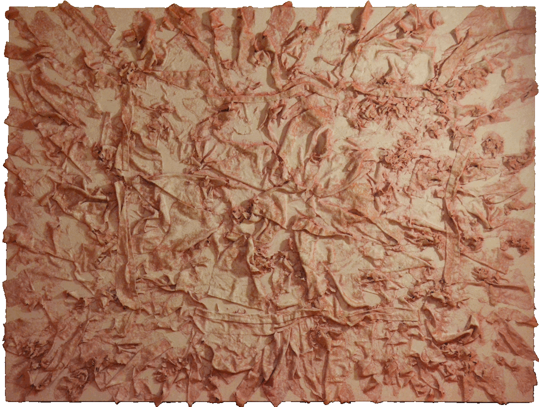 Jonan Phillip Donaldson Website